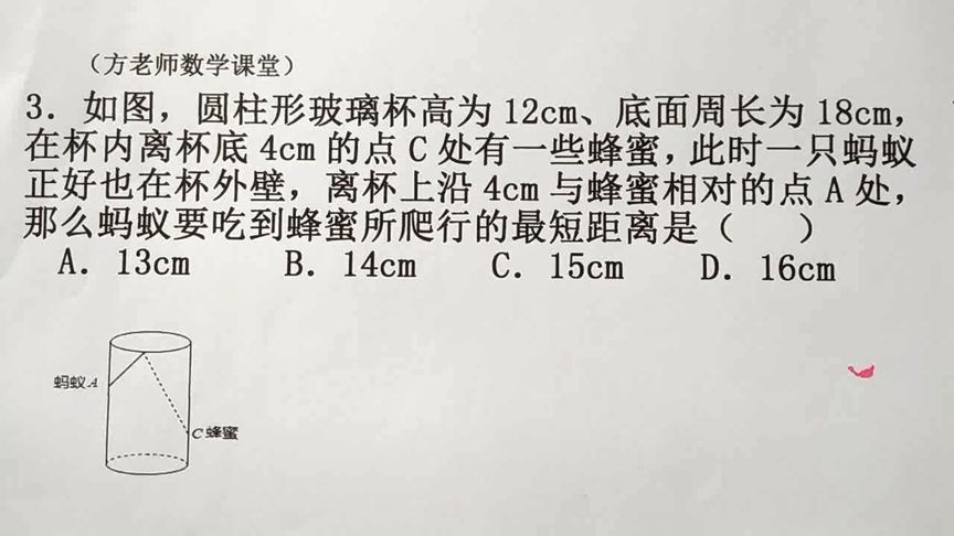 八年级数学:怎么求蚂蚁吃到蜂蜜爬行的最短距离?勾股定理经典题