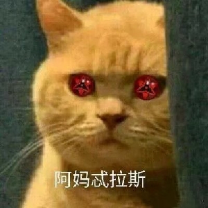 啦啦啦拉普拉斯cx 