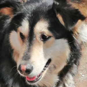 -耕农园-小农场 