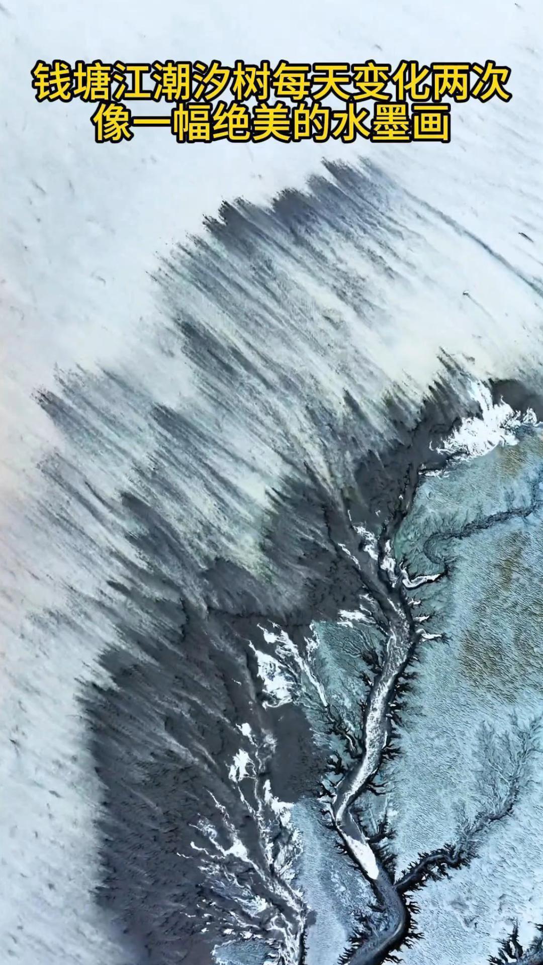 钱塘江潮汐树每天变化两次,像一幅绝美的水墨画