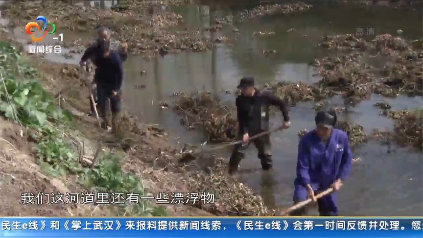 《长江保护法》:投放外来物种最高罚款100万元