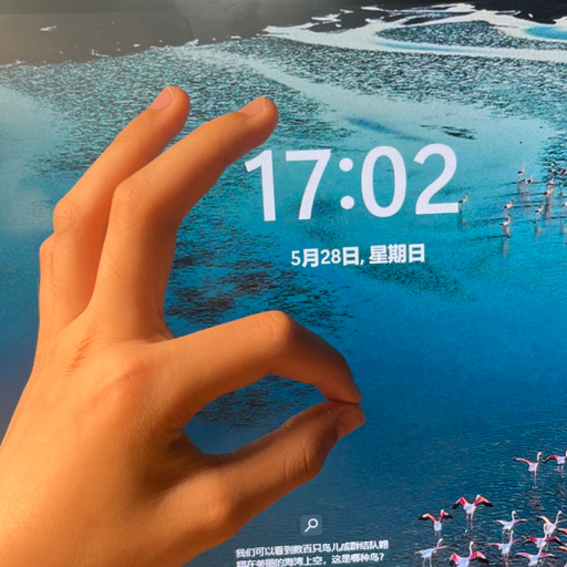 强力去污502 