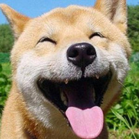 西瓜动物乐园 