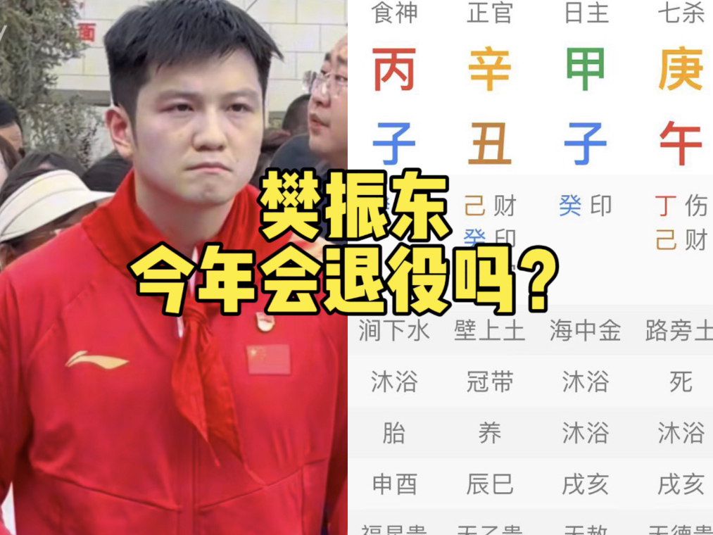 【八字分析】樊振东