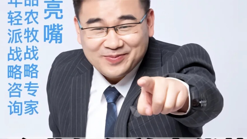 陈亮嘴战略说,大食品农业深度产业品牌策划咨询顾问品牌咨询公司