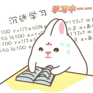 喵崽爱学习 