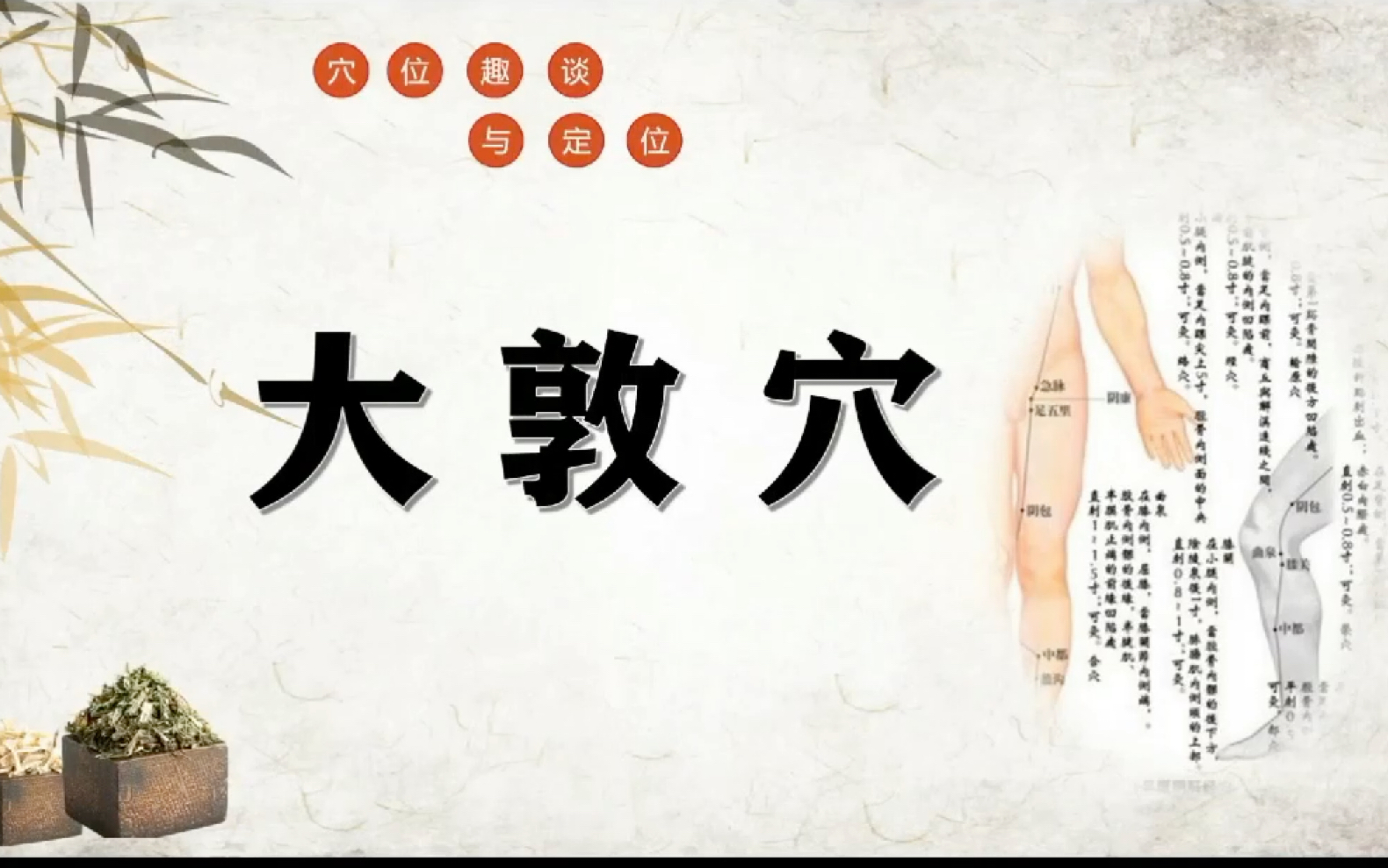 穴位趣谈与定位-大敦穴-元京_