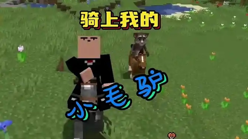 我的世界:骑上我的小毛驴,去搭建音响人小房子吧
