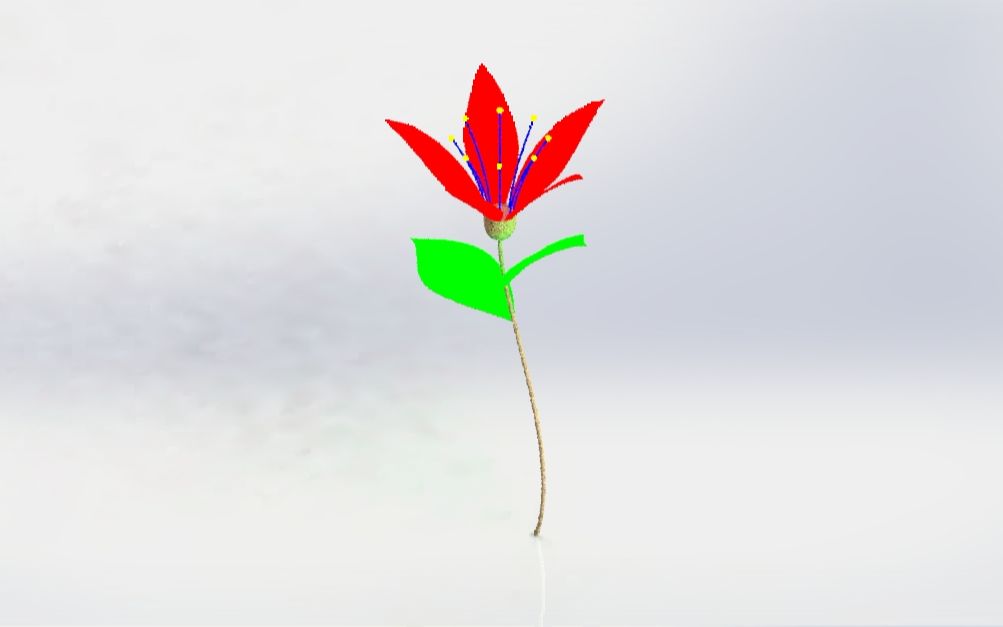 「亦明图记」SolidWorks实例绘制,一朵小花,使用曲面绘制花瓣和叶片