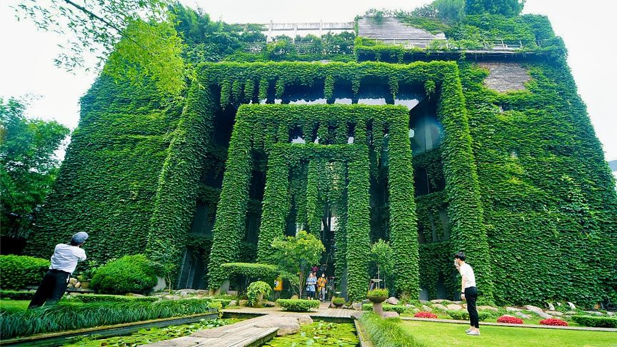 部编小学语文四年级上册网课:《爬山虎的脚》第一课时