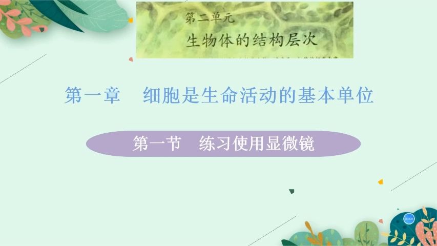 初中生物-七年级上册-第二单元 第一章 第一节 练习使用显微镜