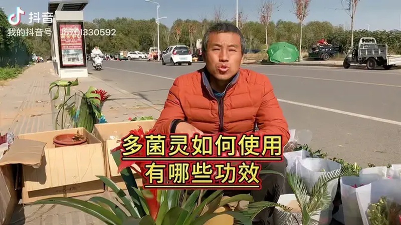 多菌灵如何使用有哪些功效