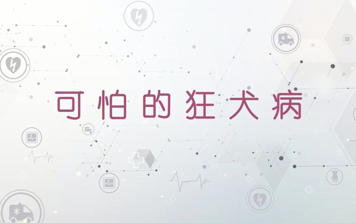 狂犬猫狗咬伤怎么办,动物咬伤的现场急救