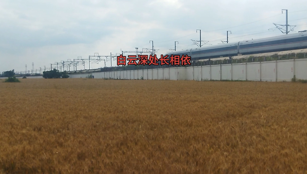 上海虹桥到成都东G1477次列车离开南阳东站