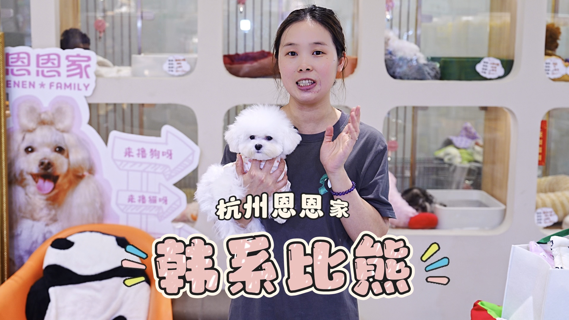 #杭州靠谱宠物店 #杭州靠谱犬舍 #杭州恩恩家宠物 #杭州买比熊 #韩系...