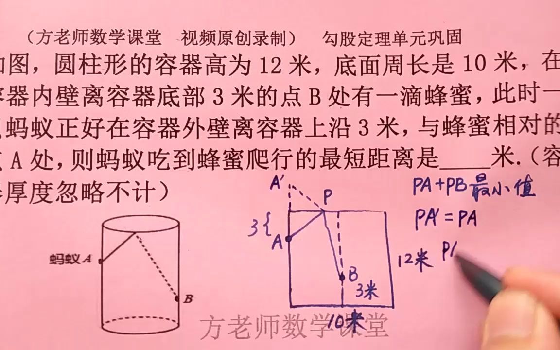 八年级数学:怎么求蚂蚁爬行的最短距离?勾股定理,应用题巩固