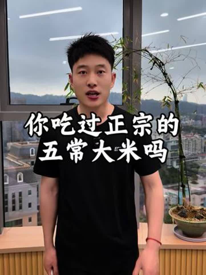正宗的五常大米多少钱你知道吗#五常大米 #米饭 #厦门阿波