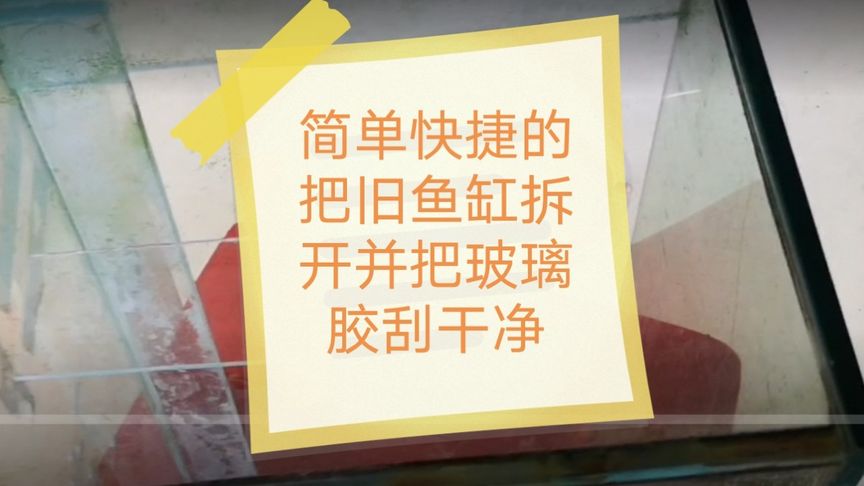 拆开旧鱼缸也不是什么难事,用几个小工具还可以简单的去除玻璃胶
