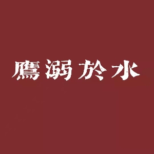 鹰溺于水 