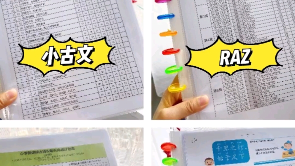 艾宾浩斯遗忘曲线记忆小学古诗词小古文RAZ 记住不再忘