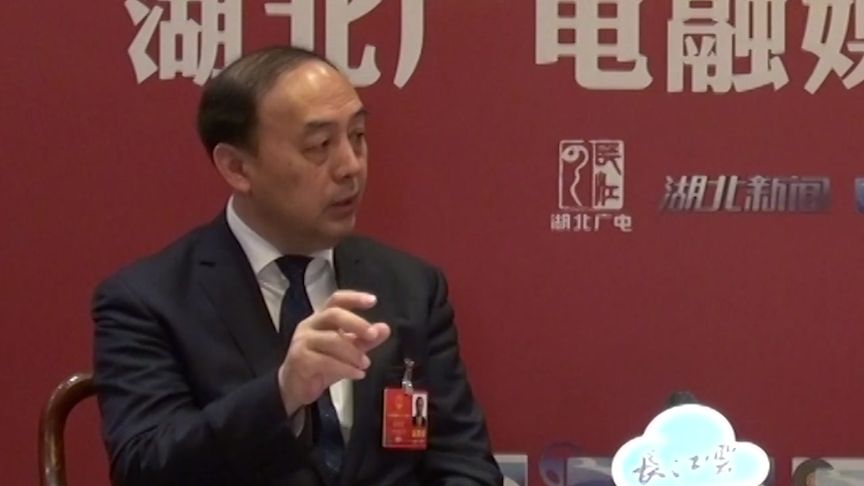 历史首次!全国人民代表大会举行宪法宣誓,首倡者是湖北这位代表!