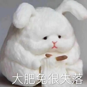 地球丰儿 
