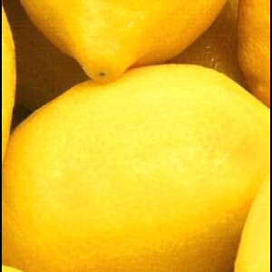 某檬 