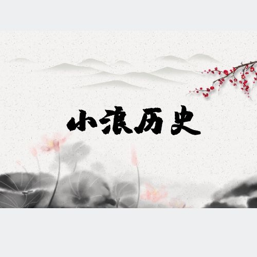 小浪历史 
