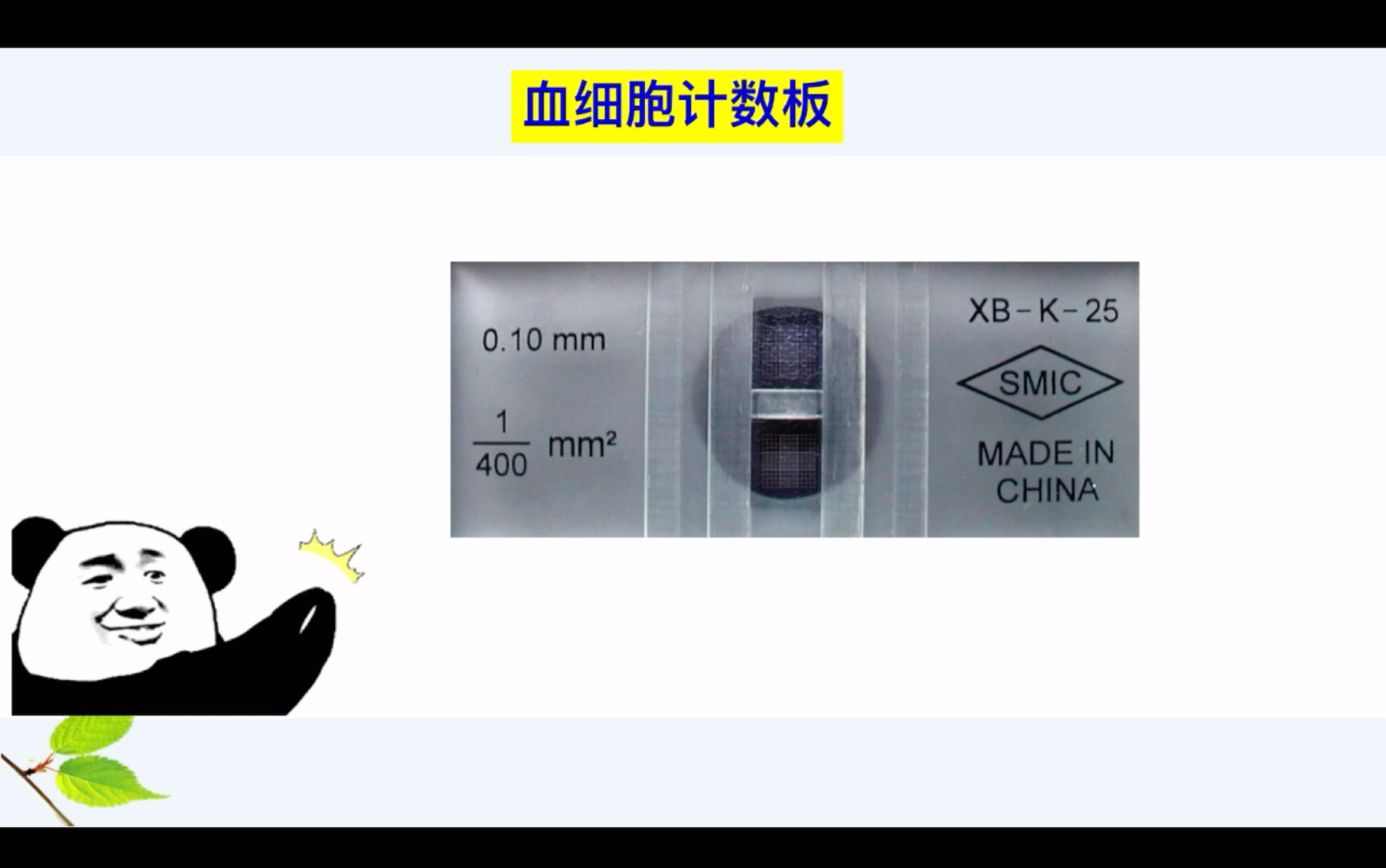血细胞计数板相关计算