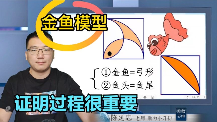 小升初圆与扇形天花板,金鱼模型常考的两个结论,怎么证明?