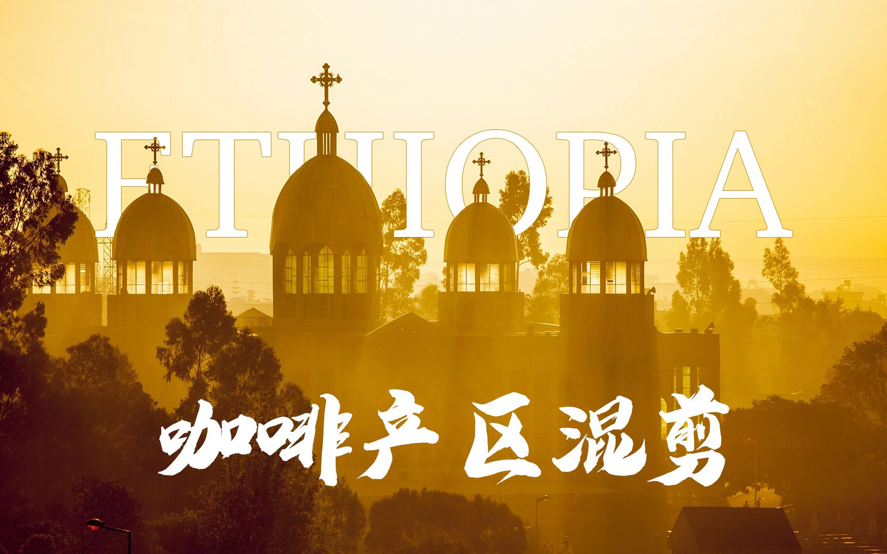 aokka咖啡产区混剪【埃塞俄比亚】