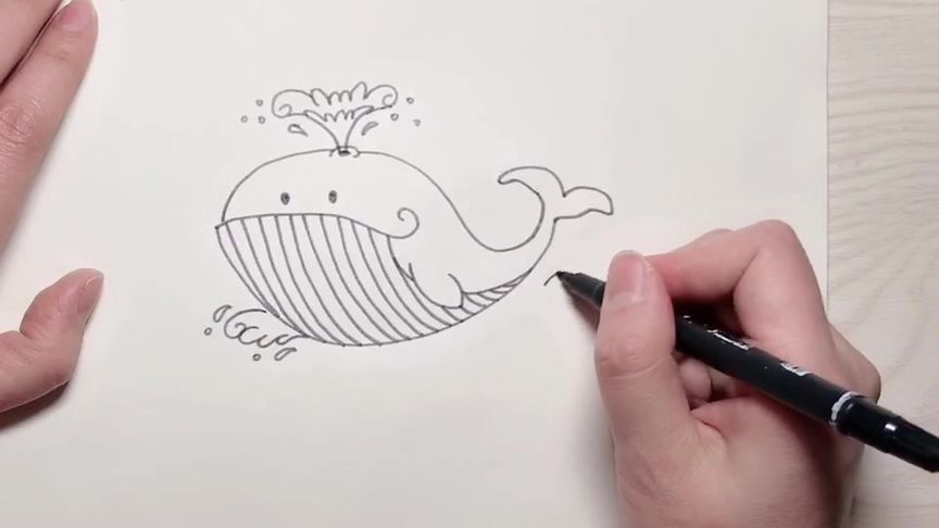 可爱卡通鲸鱼插画 儿童简笔图片 教程绘画过程