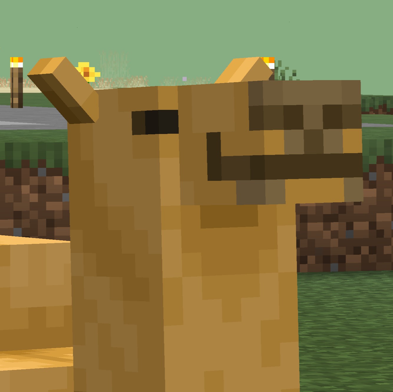 Mooeeeey 