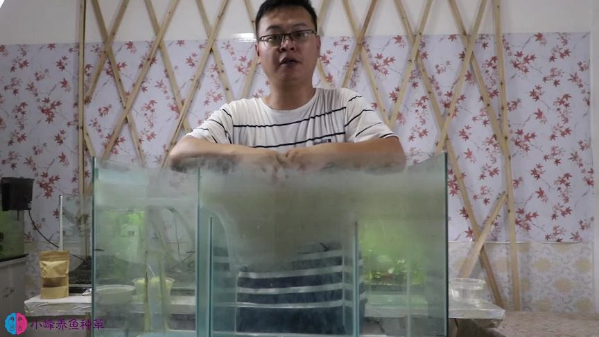旧鱼缸重新开缸,首重的目标是什么,消毒做得好,鱼病都少很多