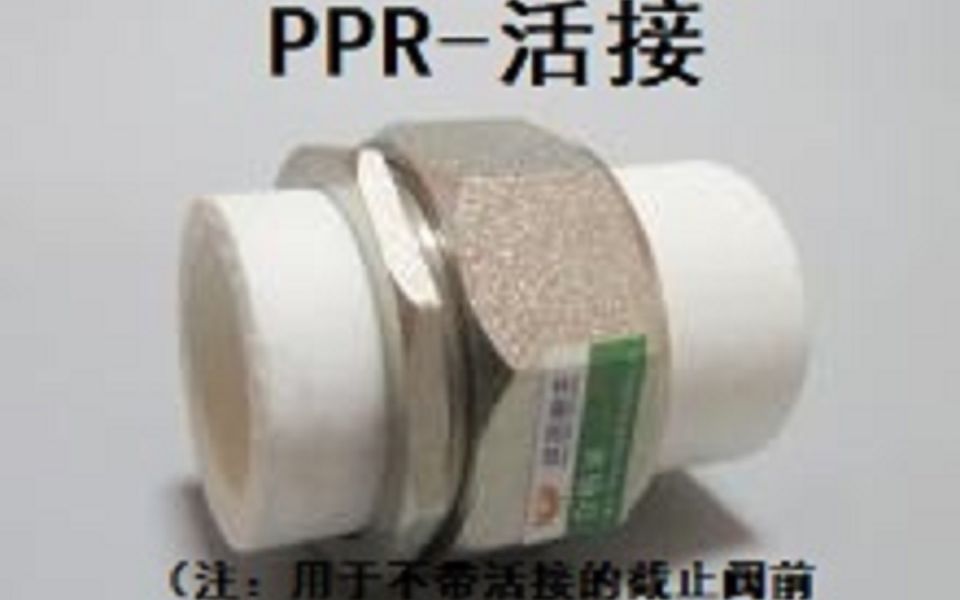 PPR-活接