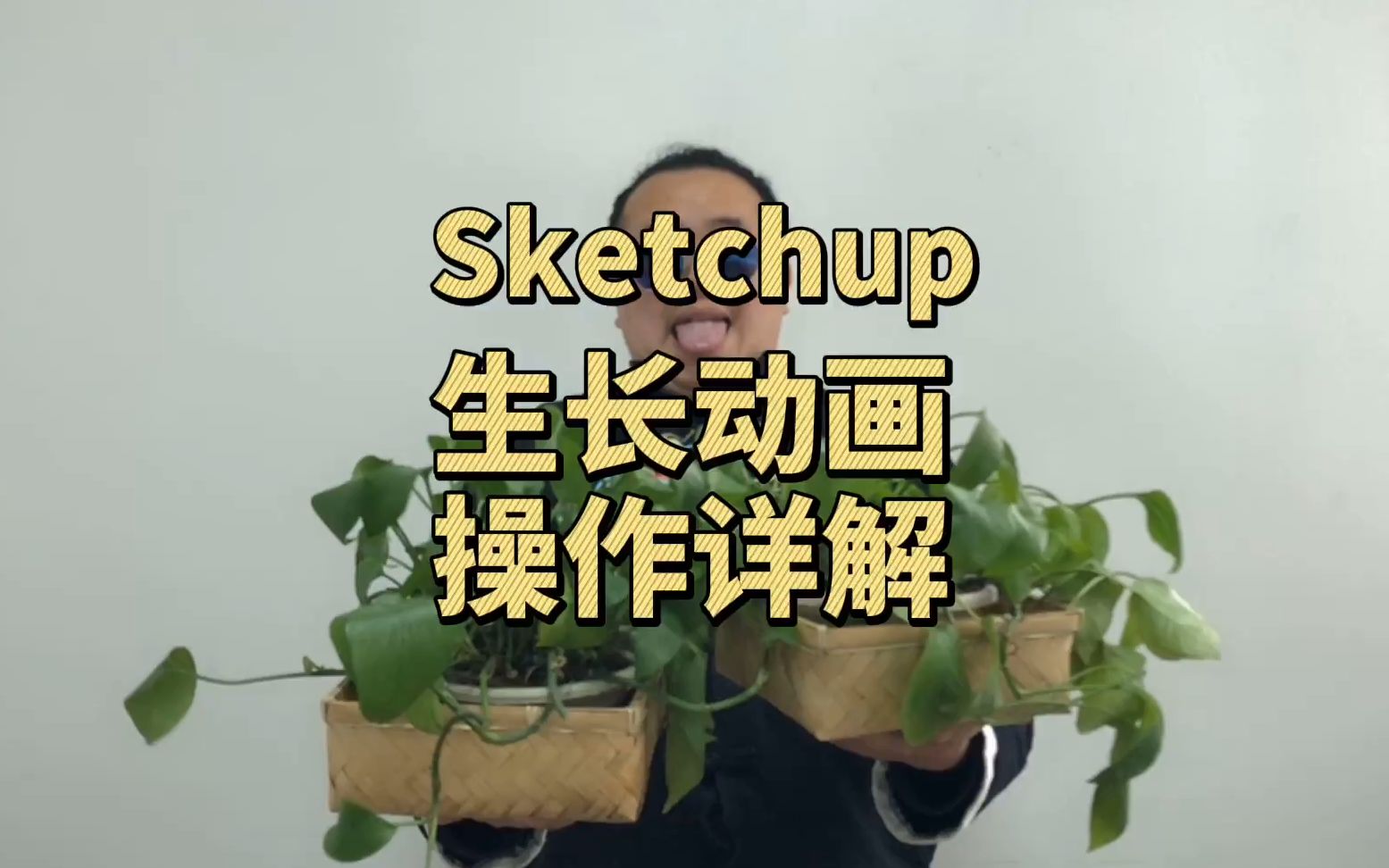 sketchup生长动画,原理解析,耐心看完的你一定会有所收获