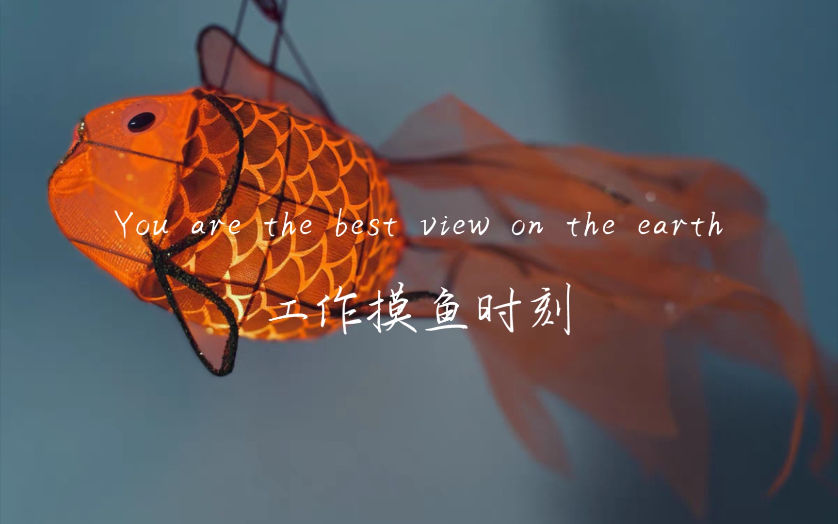 工作摸鱼时刻 | 少壮不努力长大当会计