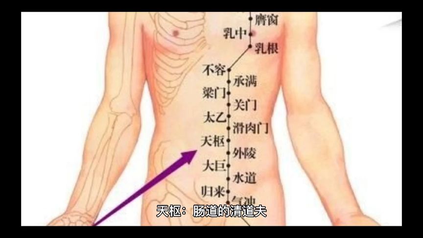 人体黄金穴位之天枢穴、气海穴、神阙、命门穴。