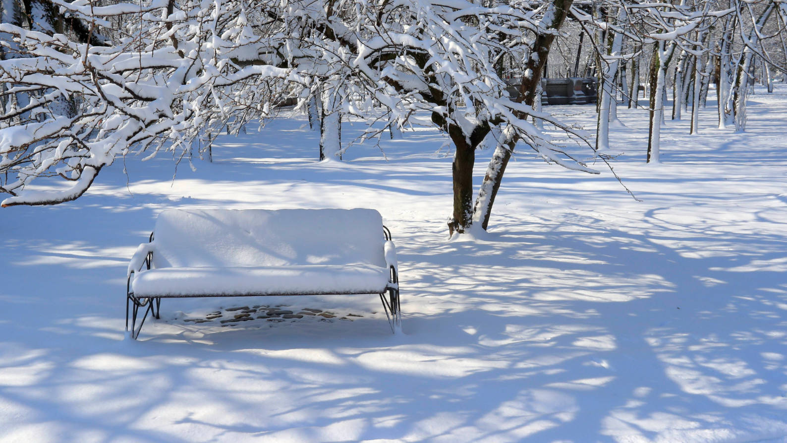 一股全能型冷空气来袭,北方多地累计降温超15℃局地有暴雪