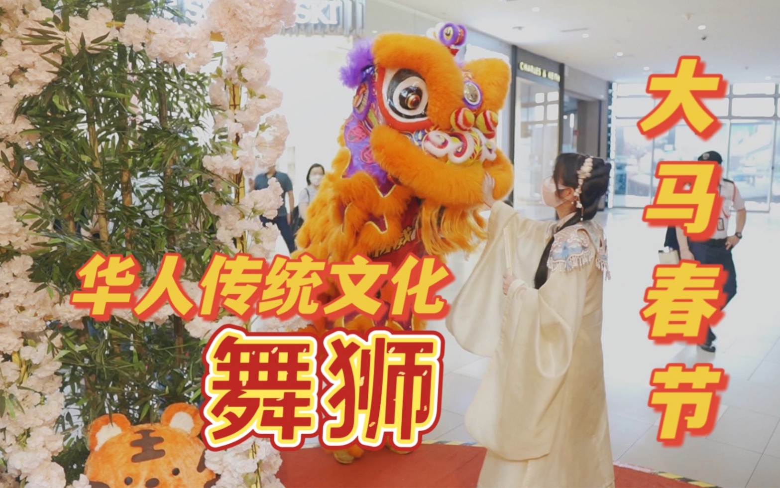 马来西亚中华传统文化 舞狮