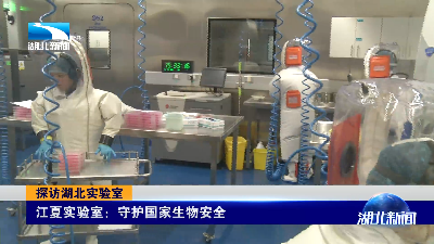全球生物安全最高级别!江夏实验室日夜不停,守护国家生物安全!