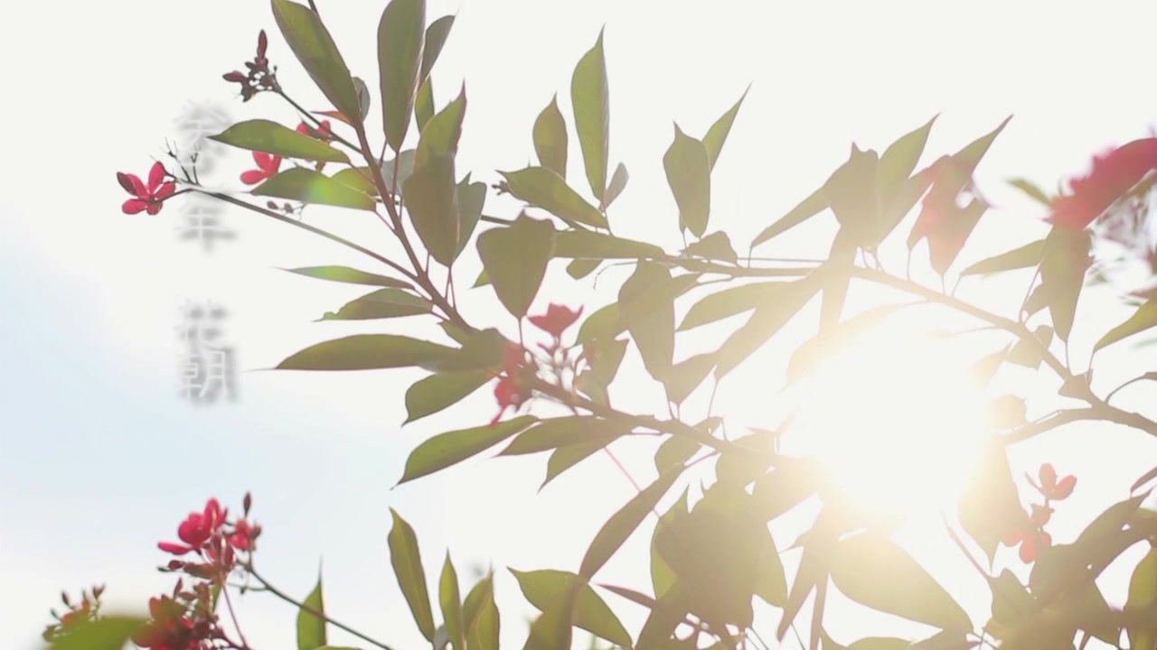 【南嘉·宣传】北师珠南嘉汉服社2013年社团宣传片《礼仪之邦》