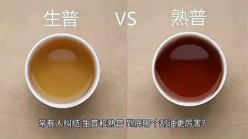 《生普熟普大对决:谁才是刮油王者》