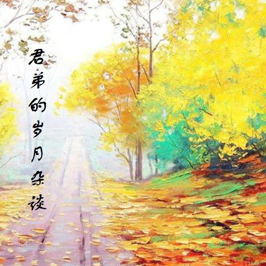 君弟的岁月杂谈 