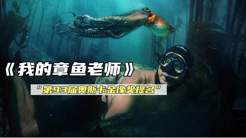 海底世界“景色奇异,物产丰富”表现在什么地方?