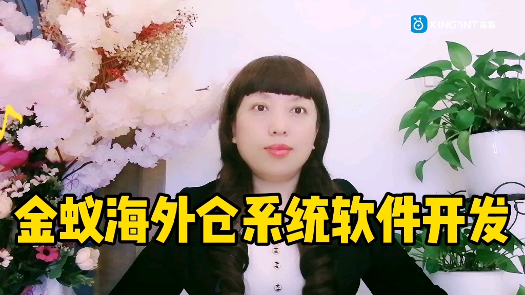 金蚁海外仓系统!软件开发!