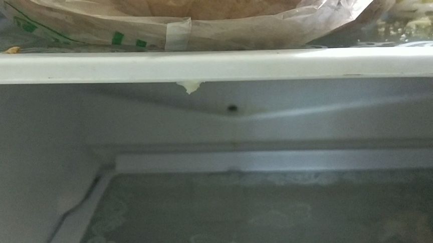 冰箱保鲜室有积水怎么回事?水是哪来的?小伙只需一招就搞定了!