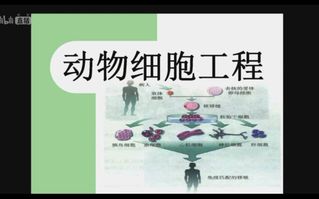 白老师3月25日《动物细胞融合与单克隆抗体》直播回放