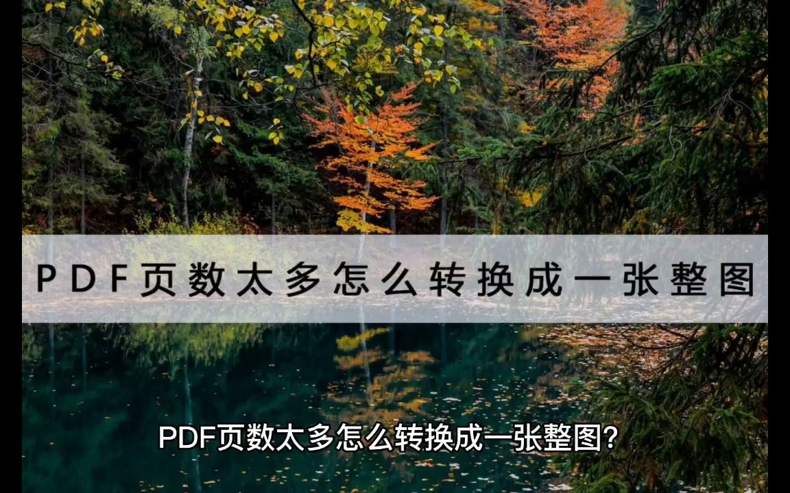 PDF页数太多怎么转换成一张整图?用它太好用了