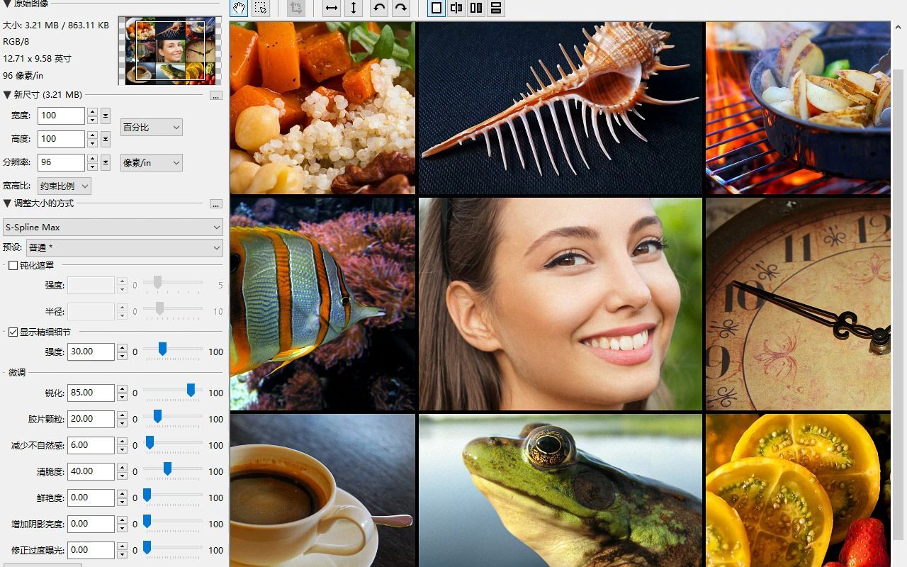 Benvista PhotoZoom Pro v8.1.0